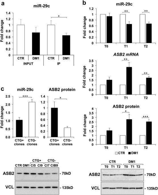 High-throughput analysis of the RNA-induced silencing complex in ...