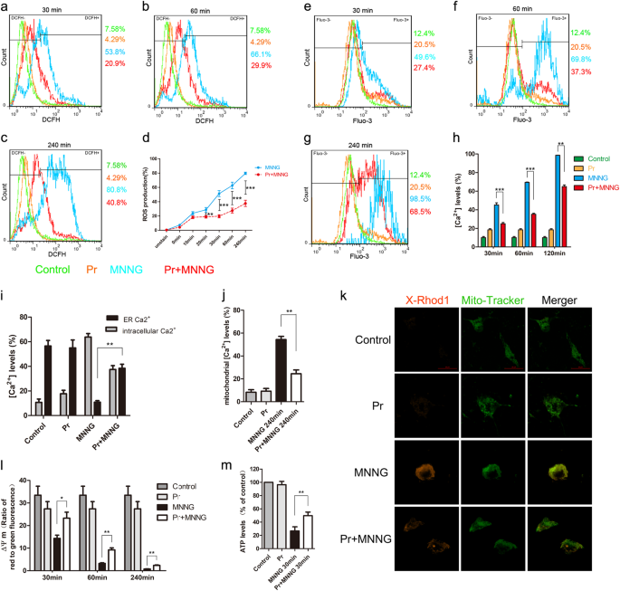 Propofol inhibits parthanatos via ROS–ER–calcium–mitochondria signal ...