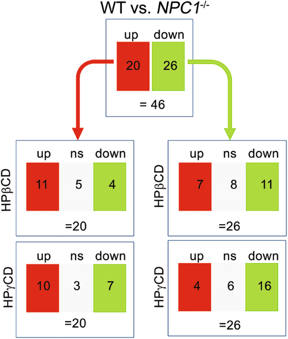 Hydroxypropyl-beta and -gamma cyclodextrins rescue cholesterol ...
