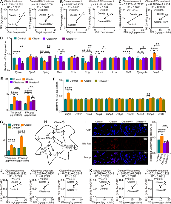 PPARα and PPARγ activation attenuates total free fatty acid and ...