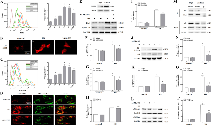 Ser46 phosphorylation of p53 is an essential event in prolyl-isomerase ...