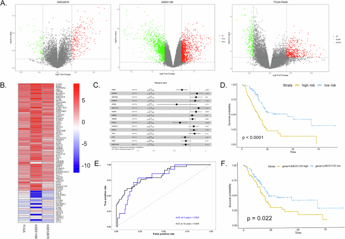 LINC01133 promotes pancreatic ductal adenocarcinoma epithelial ...