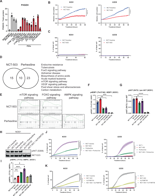PHGDH inhibition and FOXO3 modulation drives PUMA-dependent apoptosis ...