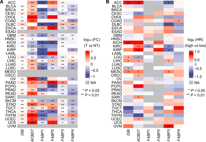ACBP/DBI neutralization for the prevention and treatment of malignant ...