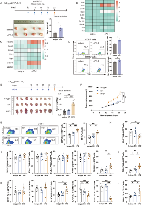 Dual blockades of TIM-3 and PD-1 effectively prevent hyper-progression ...
