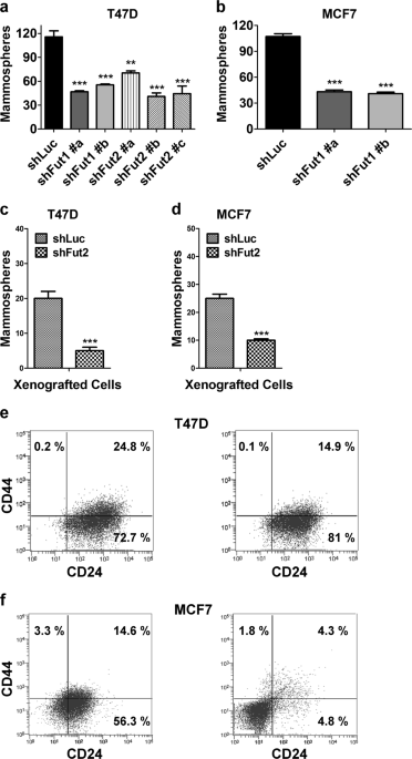 Fucosyltransferase 1 and 2 play pivotal roles in breast cancer cells ...