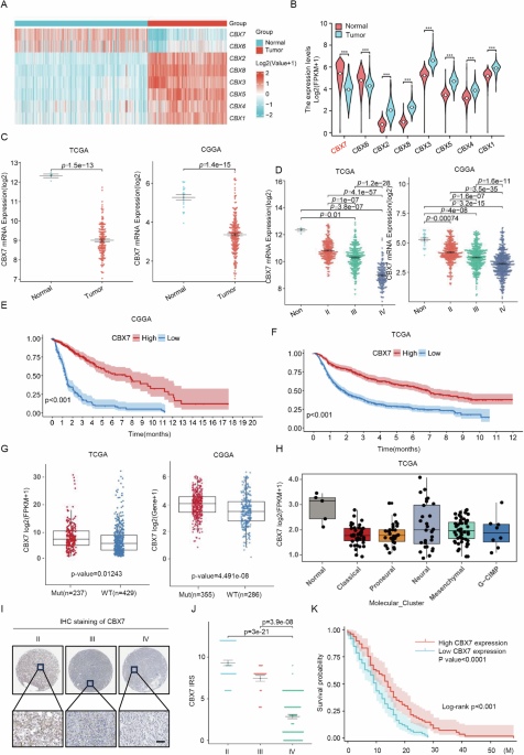 Chromobox protein homolog 7 suppresses the stem-like phenotype of ...