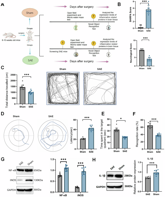 Correction: GAS6/AXL signaling promotes M2 microglia efferocytosis to ...