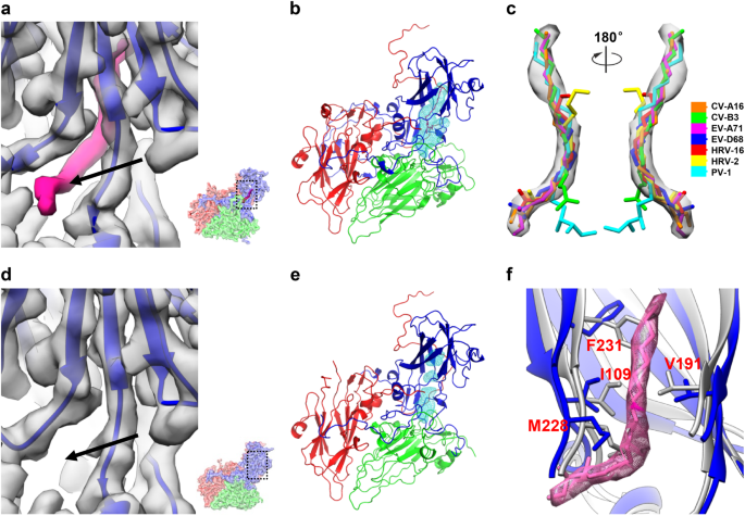Coxsackievirus A10 atomic structure facilitating the discovery of a ...