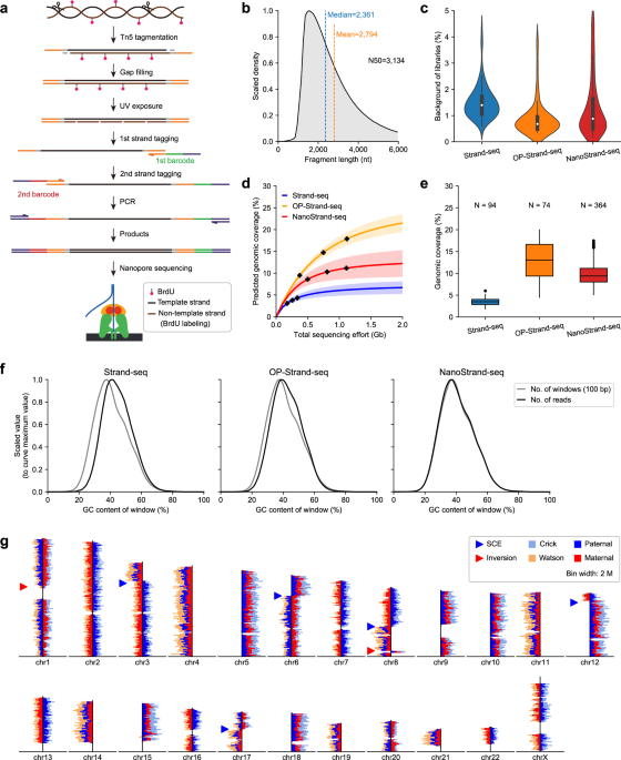 Simultaneous de novo calling and phasing of genetic variants at ...