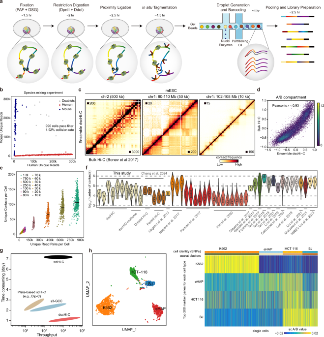 Droplet-based high-throughput 3D genome structure mapping of single ...