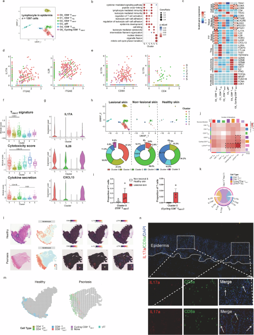 LZTR1 regulates epithelial MHC-I expression via NF-κB1 to modulate CD8 ...