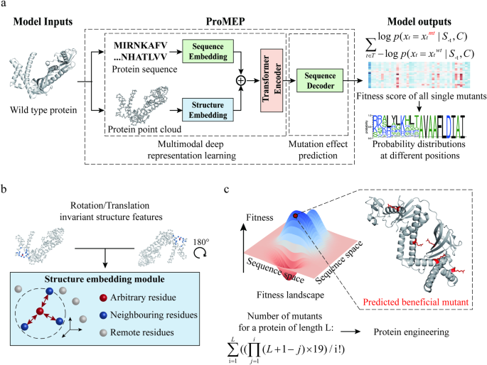 Zero-shot prediction of mutation effects with multimodal deep representation learning guides ...