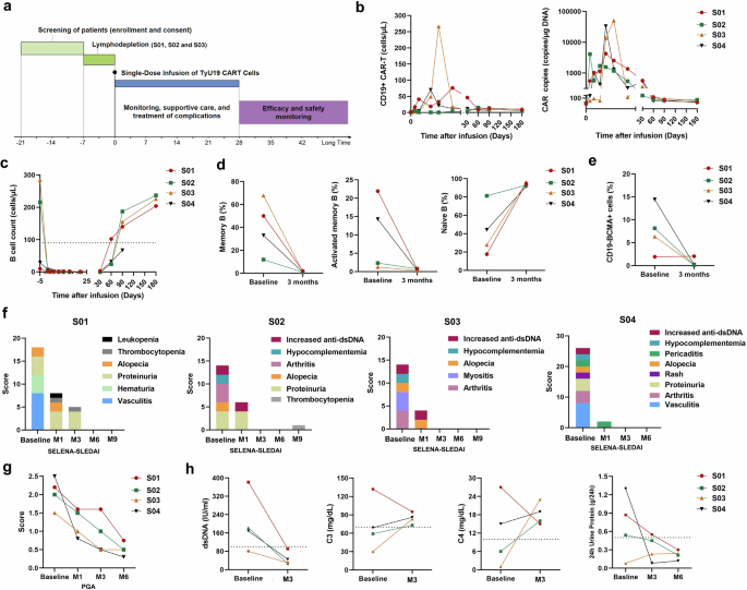 Allogeneic anti-CD19 CAR-T cells induce remission in refractory systemic lupus erythematosus ...