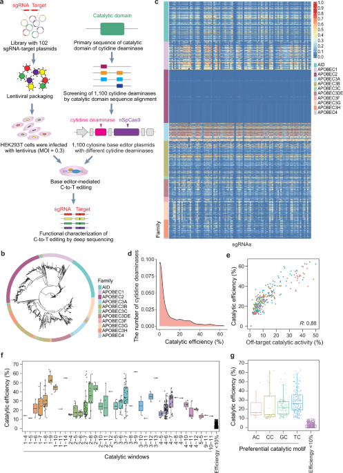 AlphaCD: a machine learning model capable of highly accurate ...
