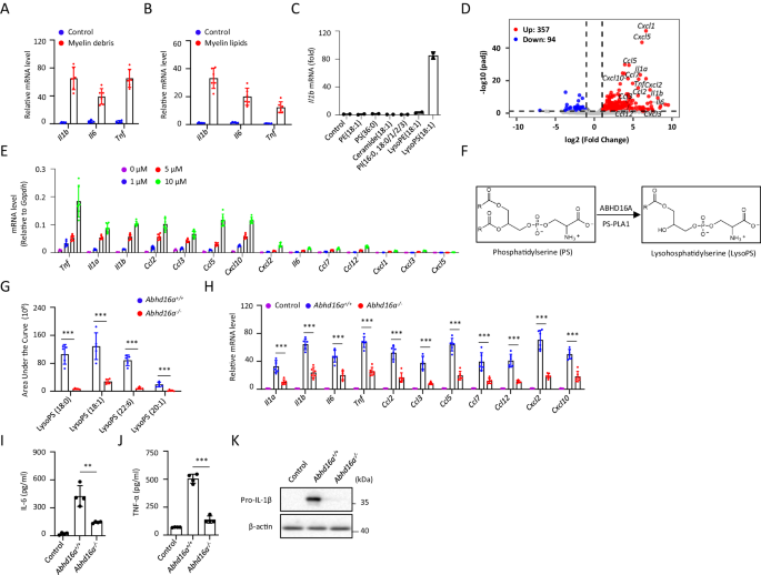 GPR34 senses demyelination to promote neuroinflammation and pathologies ...