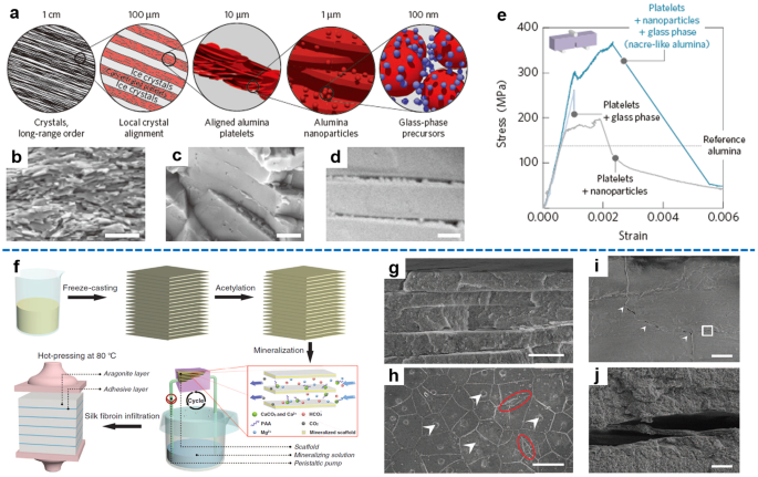 Nacre-inspired composites with different macroscopic dimensions ...