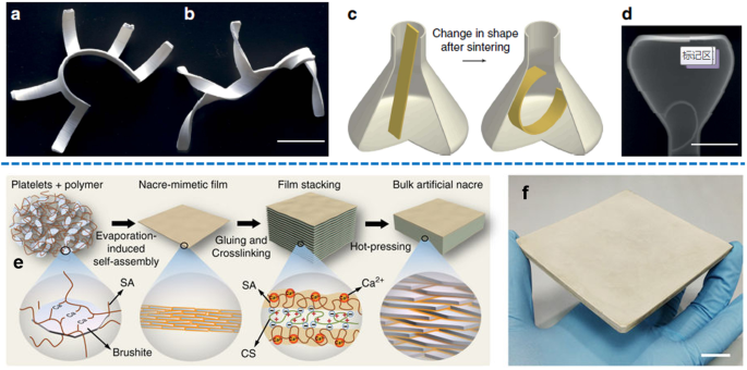 Nacre-inspired composites with different macroscopic dimensions ...