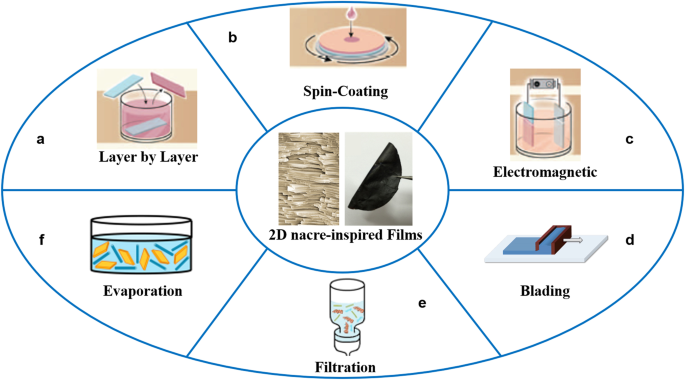 Nacre-inspired composites with different macroscopic dimensions ...