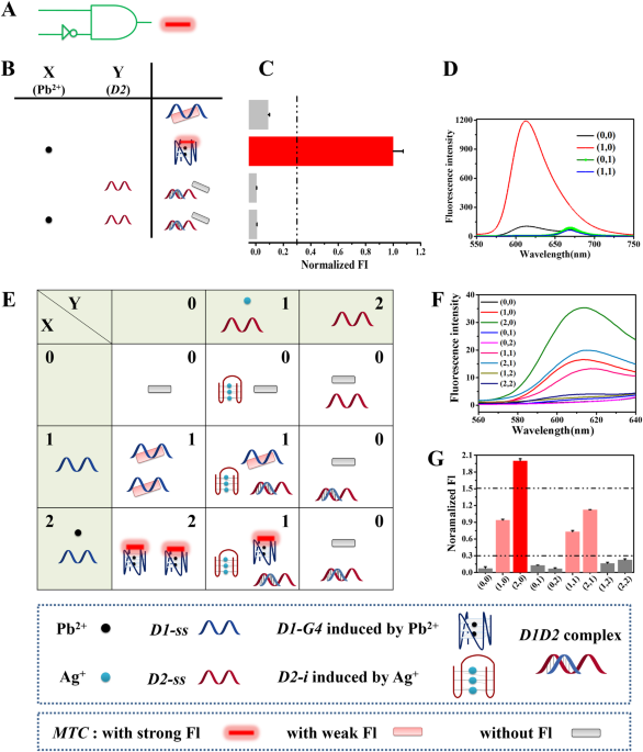 A versatile DNA-supramolecule logic platform for multifunctional ...