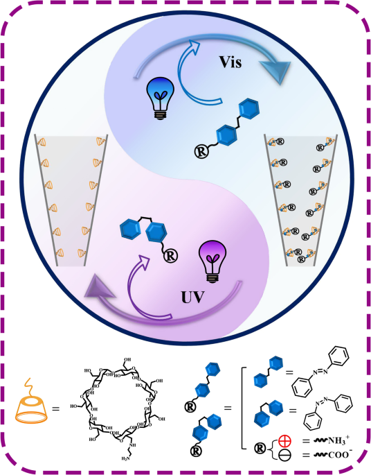 A universal tunable nanofluidic diode via photoresponsive host–guest interactions | NPG Asia ...