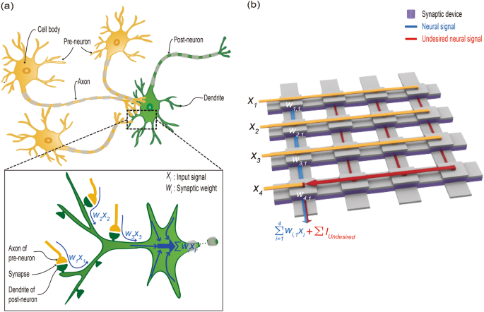 A self-rectifying TaO y /nanoporous TaO x memristor synaptic array for learning and energy ...