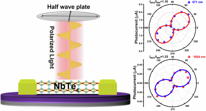 Intrinsically anisotropic 1D NbTe4 for self-powered polarization ...