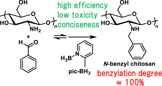 Facile and efficient synthesis of N-benzyl chitosan via a one-pot ...