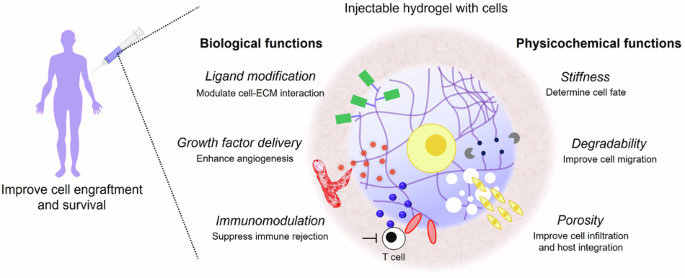 Advances in injectable hydrogels with biological and physicochemical ...