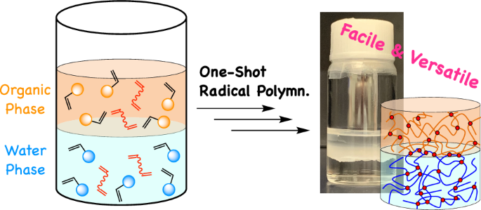 Facile synthesis of macroscopic bilayer gels by one-shot radical ...