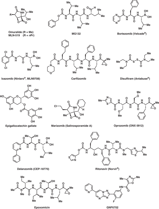 Lactacystin: first-in-class proteasome inhibitor still excelling and an ...