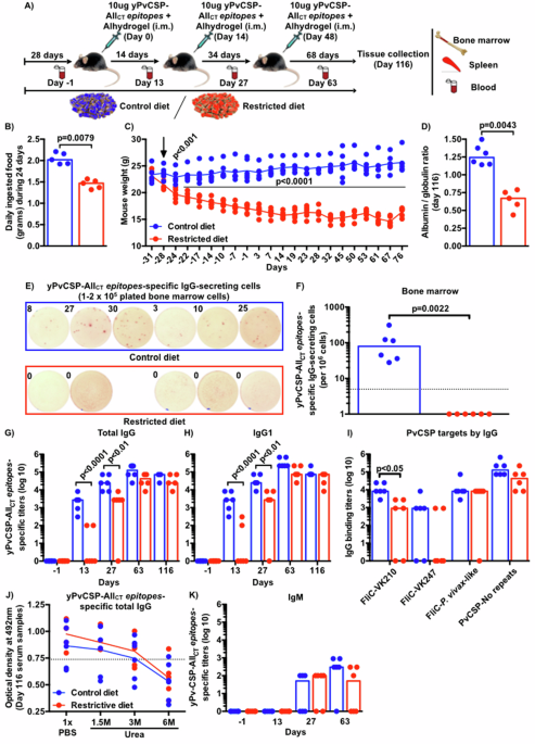 Protein-energetic malnutrition hinders malaria vaccine-derived cellular ...
