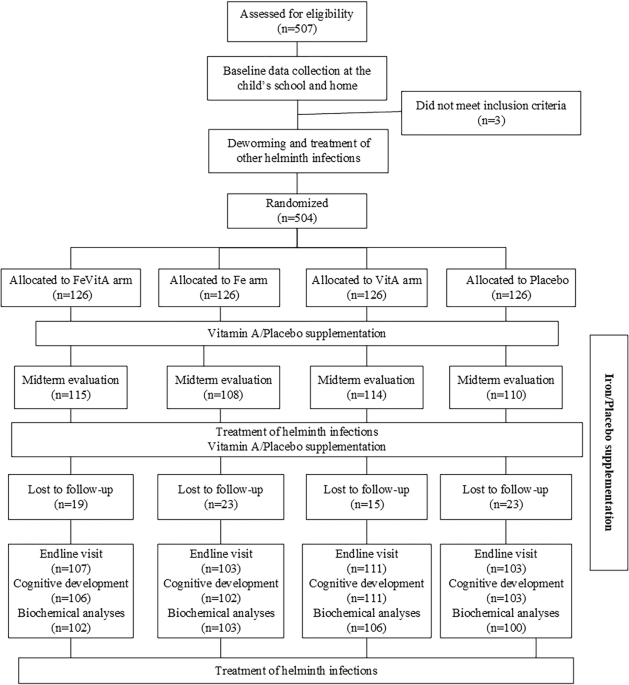 Effectiveness of intermittent iron and high-dose vitamin A ...