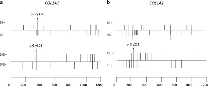 Genotype–phenotype correlation study in 364 osteogenesis imperfecta ...