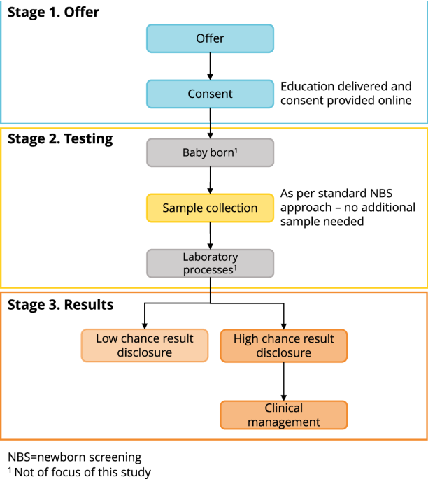 Key informant perspectives on implementing genomic newborn screening: a qualitative study guided ...