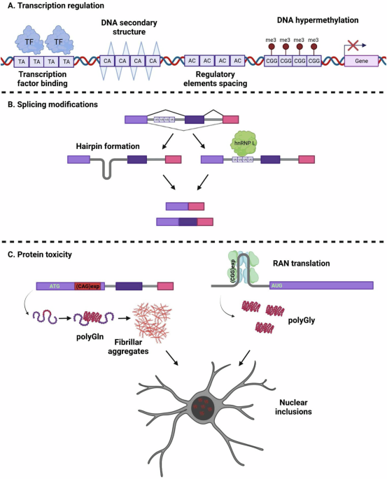 Short Tandem Repeats in the era of next-generation sequencing: from ...