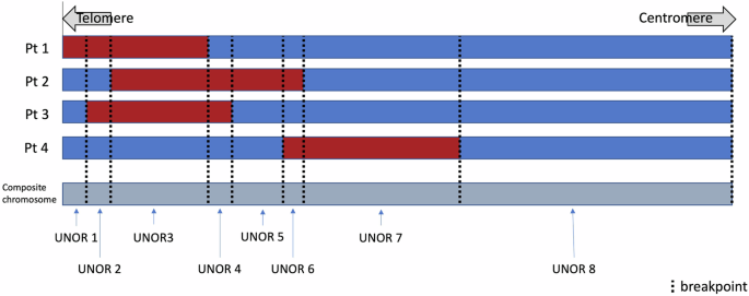 Using a new analytic approach for genotyping and phenotyping chromosome ...