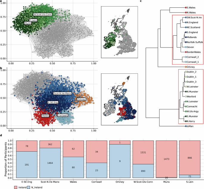 A genetic perspective on the recent demographic history of Ireland and ...