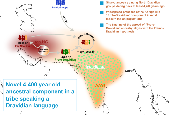 Novel 4400-year-old ancestral component in a tribe speaking a Dravidian ...