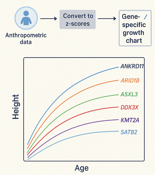 Commentary on the LMSz method: a novel approach to gene-specific growth ...