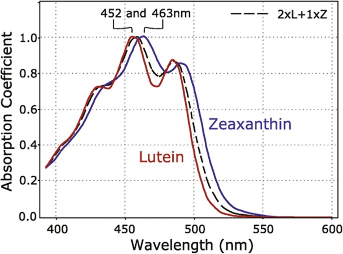 What do we know about the macular pigment in AMD: the past, the present ...