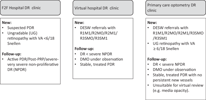 Primary care optometry-based diabetic retinopathy review clinics – a ...
