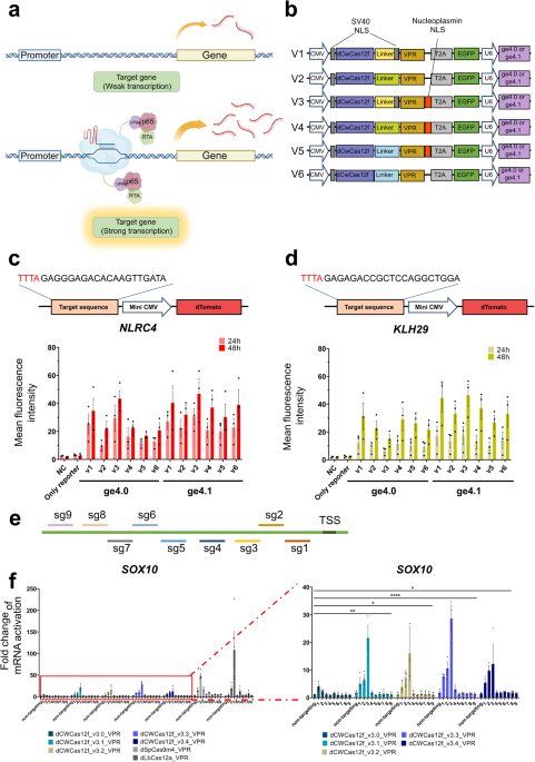 Highly efficient and specific regulation of gene expression using ...