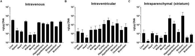 Characterization of brain transduction capability of a BBB-penetrant ...