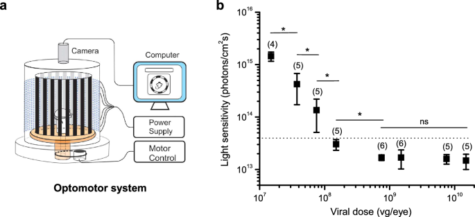 AAV dose-dependent transduction efficiency in retinal ganglion cells ...