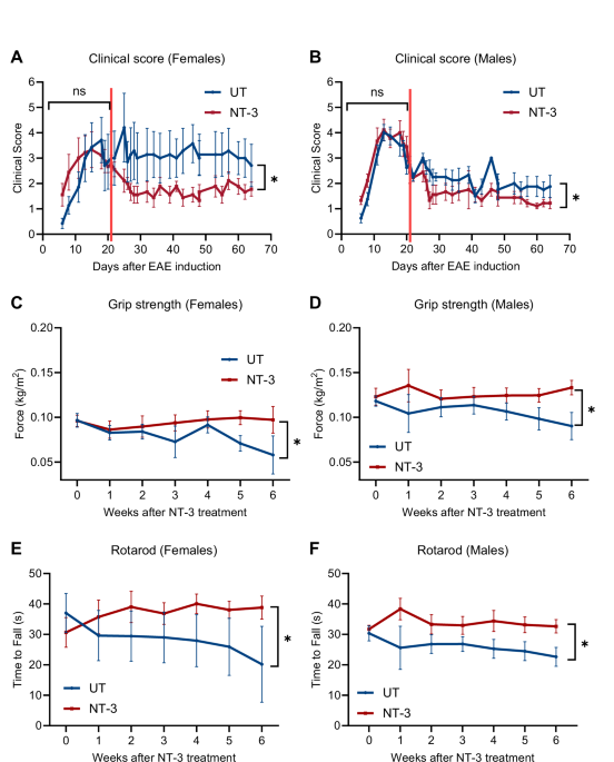 AAV1.NT3 gene therapy mitigates the severity of autoimmune ...