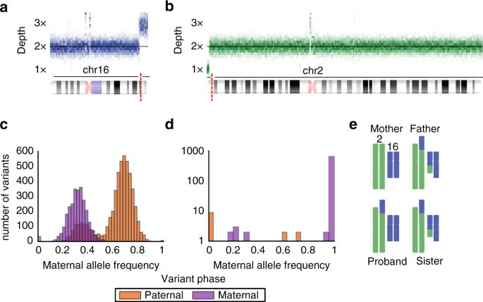 Copy-number variants in clinical genome sequencing: deployment and ...
