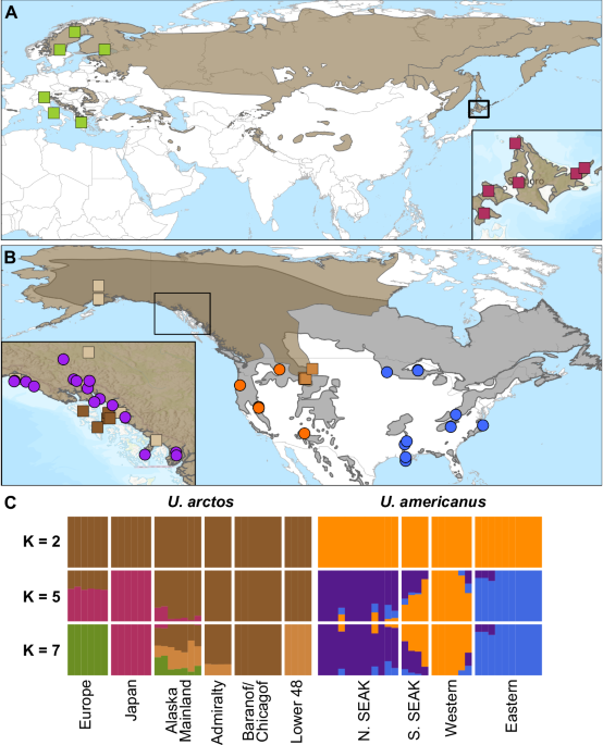 Phylogeography of introgression: Spatial and temporal analyses identify ...