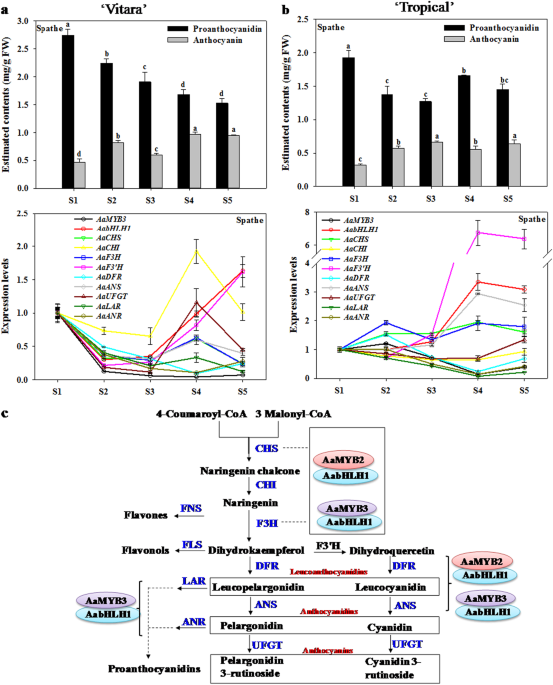 AaMYB3 interacts with AabHLH1 to regulate proanthocyanidin accumulation ...