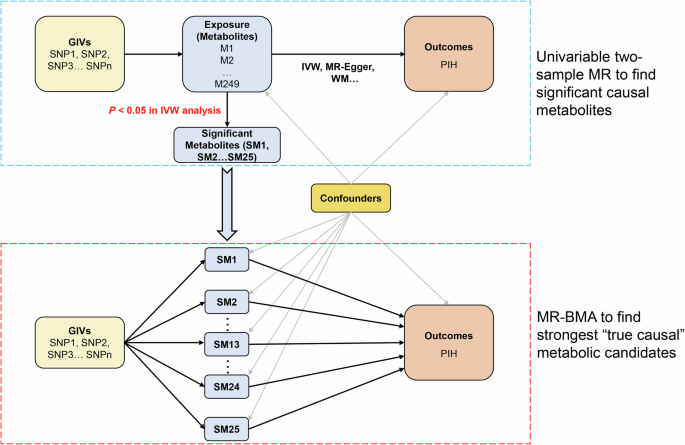 BMA-based Mendelian randomization identifies blood metabolites as ...